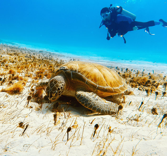 Discover Scuba Diving Cancun | Cancun, Mexico Excursions Dominicanadve